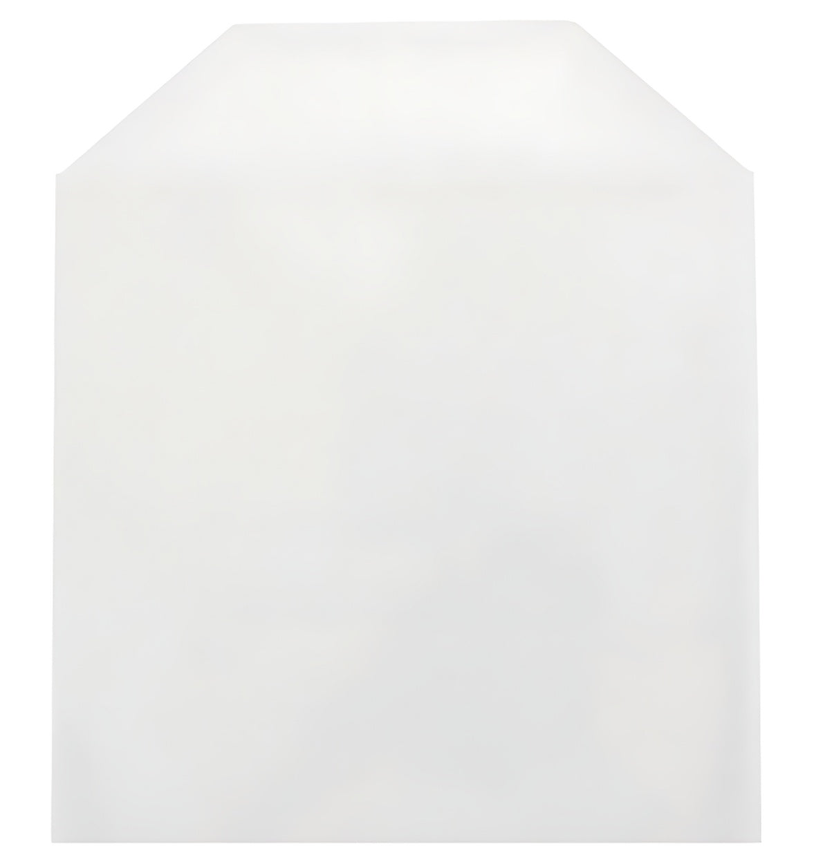 CPP Clear Plastic Sleeve with Flap (No Stitches) – CheckOutStore.com